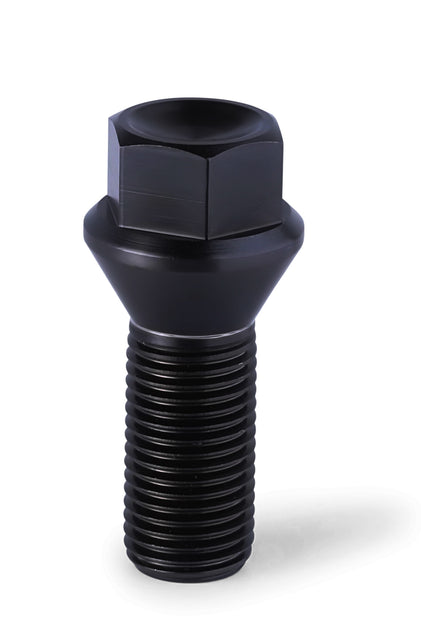 BMW Titanium Lug Bolts – ACER Racing